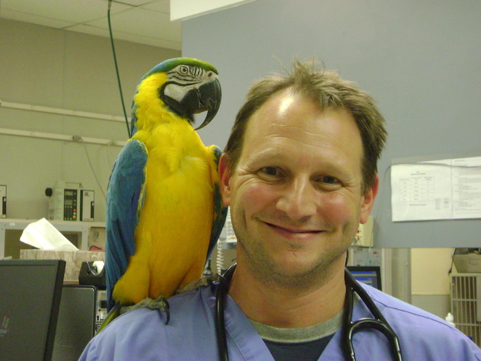 TFAST: Diagnosing pleural & pericardial effusion | Axon