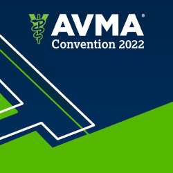 Diarrhea in dogs and cats: First, do no harm | Axon