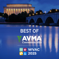 AVMA Convention 2025 | Axon